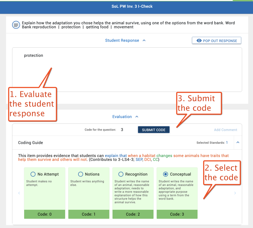 Coding Online Assessments